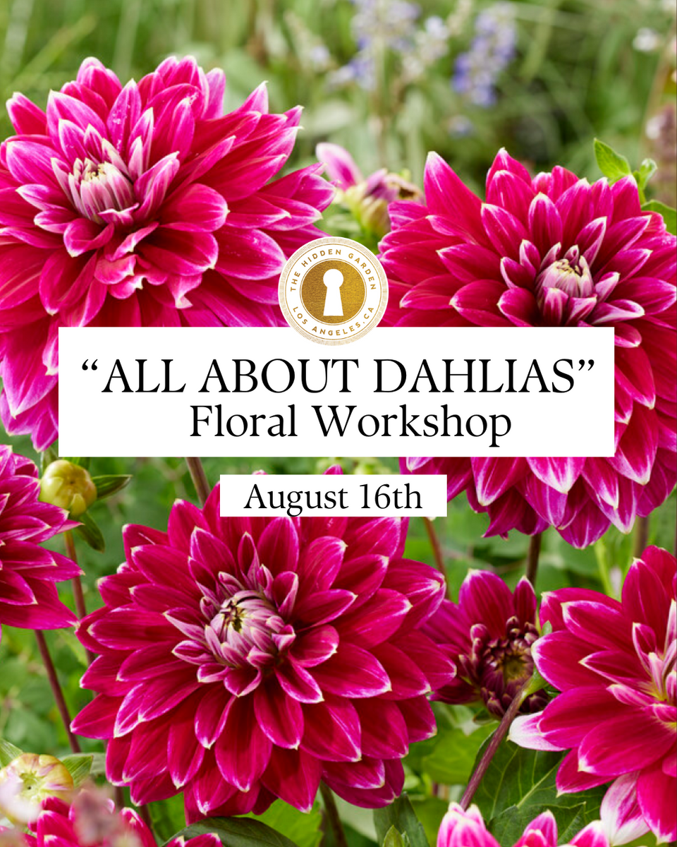 ALL ABOUT DAHLIAS Floral Workshop