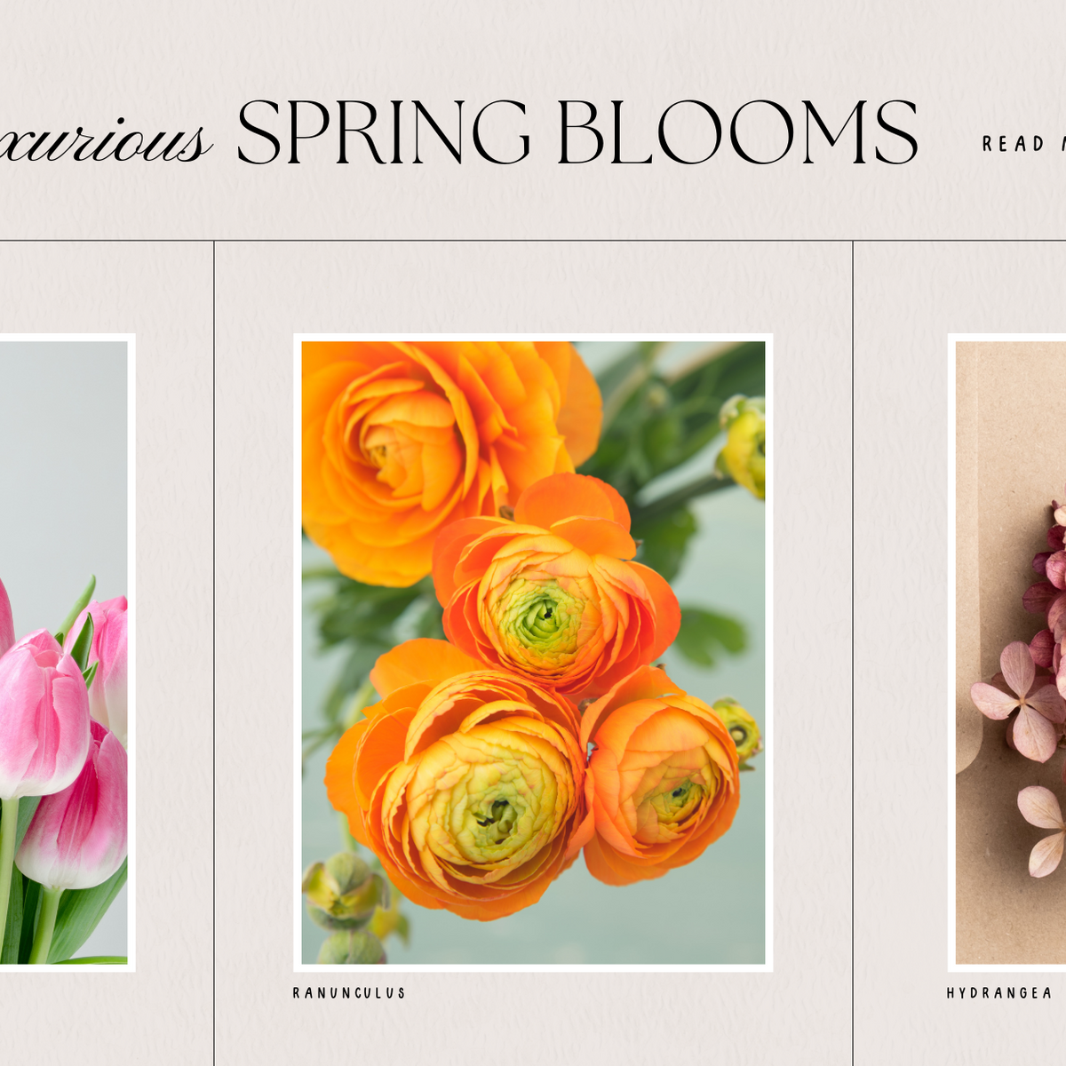 6 Luxurious Spring Blooms To Look For Today – The Hidden Garden