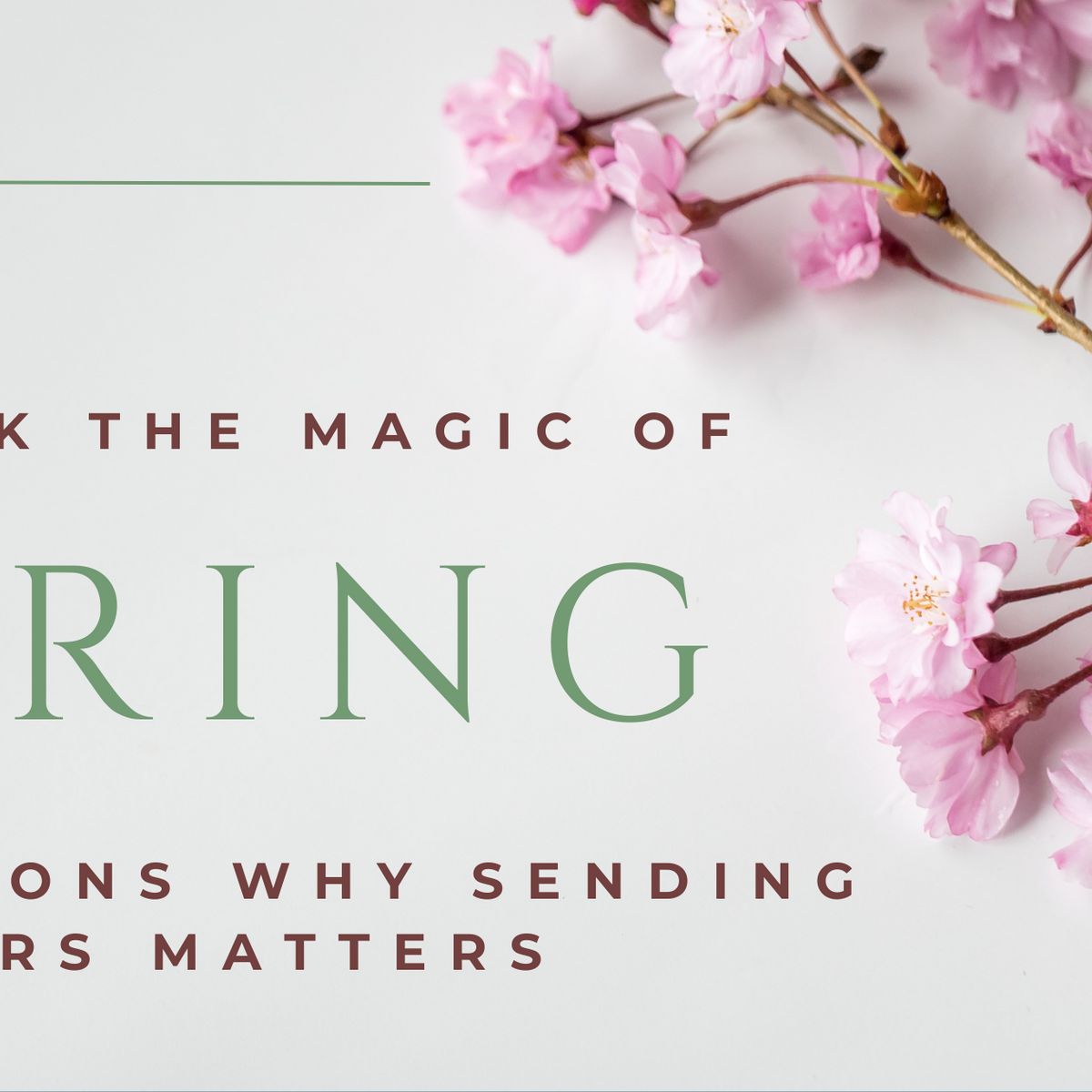 Unlock The Magic Of Spring: 5 Reasons Why Sending Flowers Matters