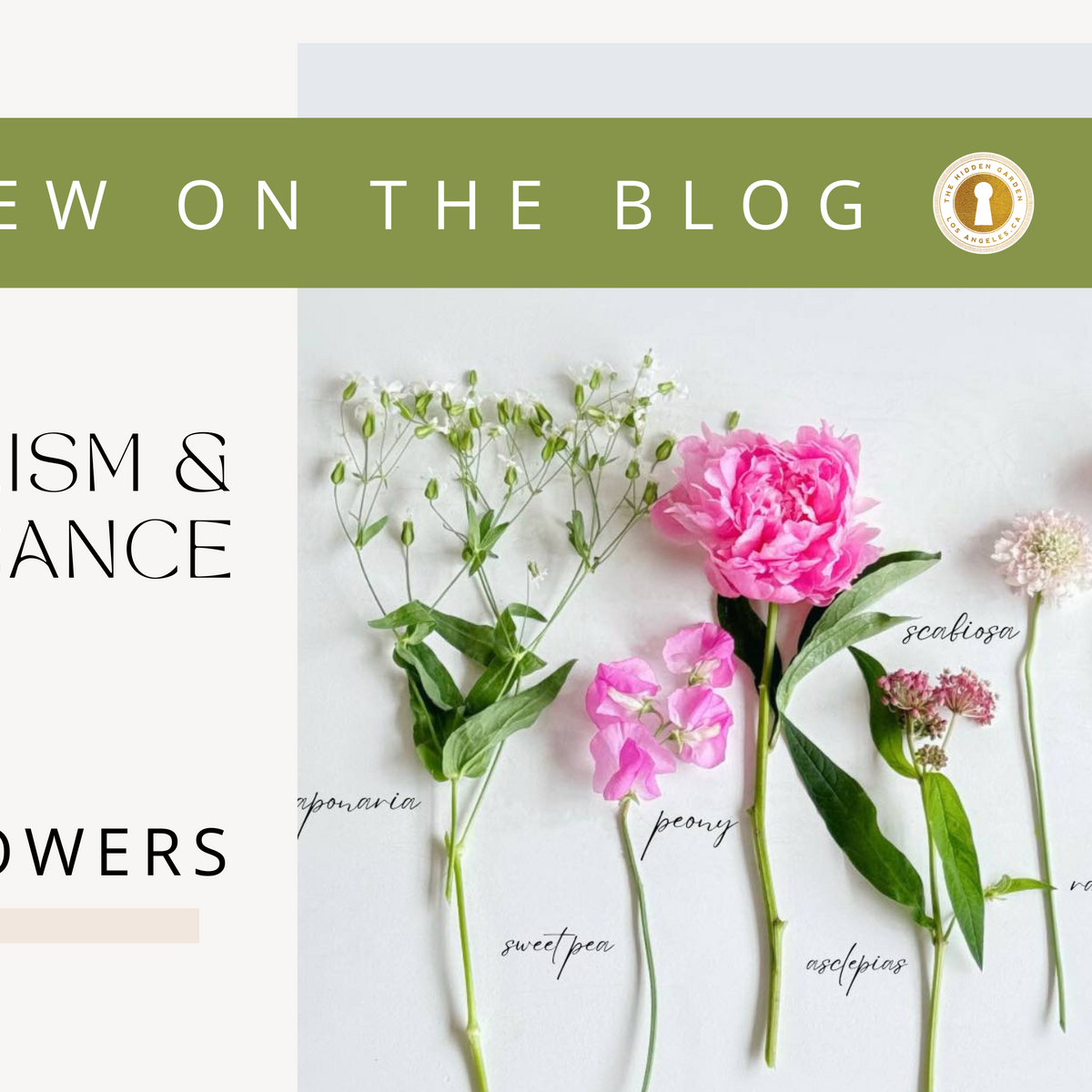 New on the Blog: Symbolism and Significance of June Flowers
