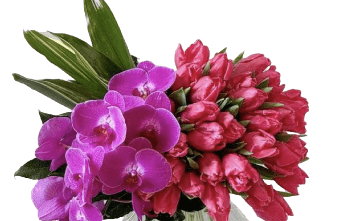 Thinking Of You Flowers (Send Supportive Flower Gifts)